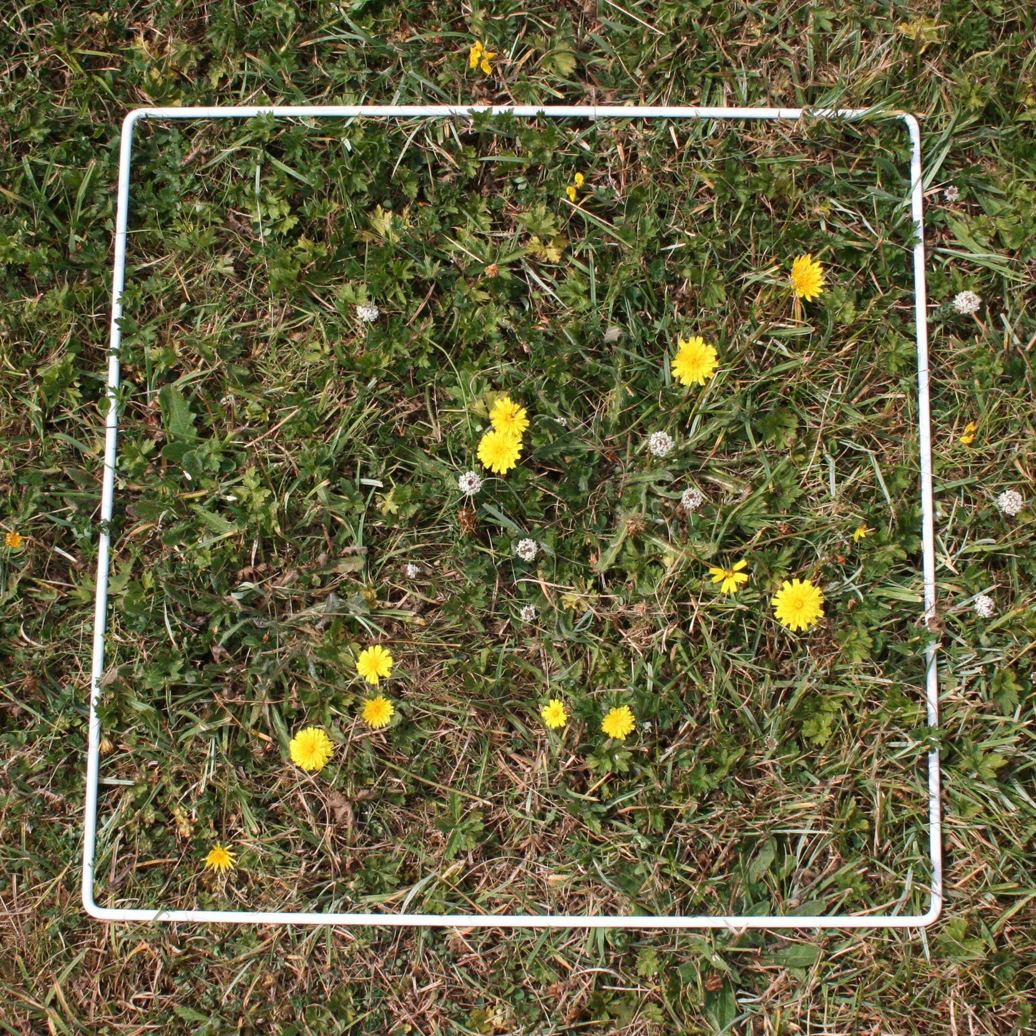 Rigid Quadrats | Geography Fieldwork – Geopacks